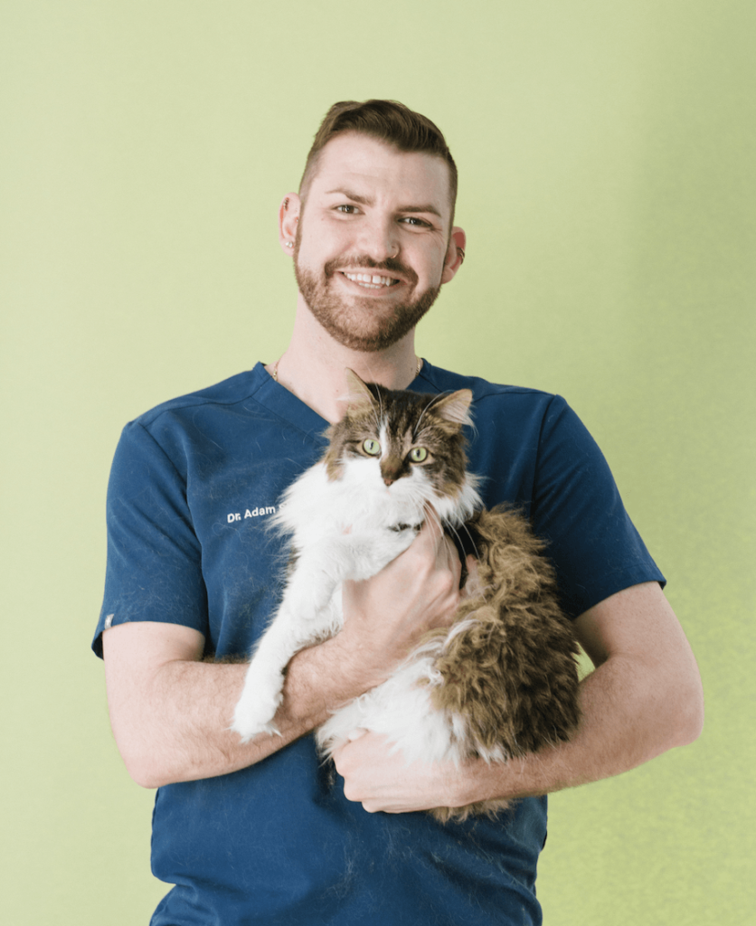 Dr. Adam Sirk - Old Dominion Animal Hospital