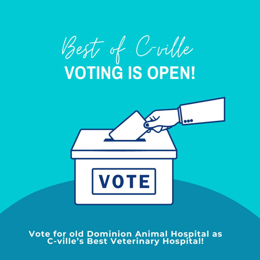 This Just In: Veterinary Newsletter - Old Dominion Animal Hospital